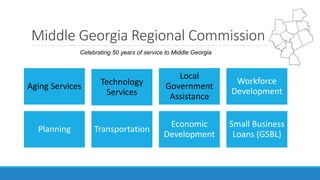 Revenue Diversification | PPTX