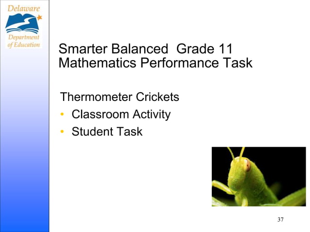 Mathematics_Literacy_Module_3 .ppt