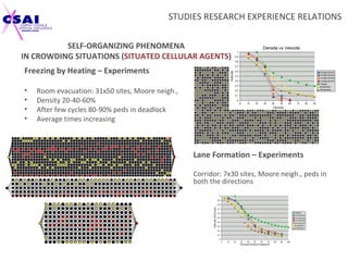 Crowd Dynamics | PDF