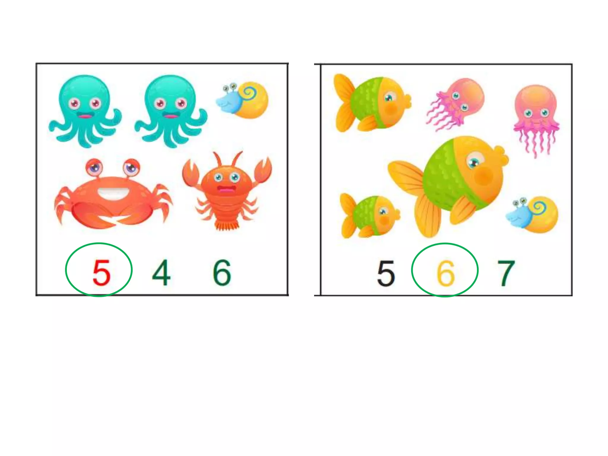 Math number 6-10.pptx