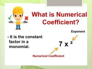 Contant, Variable and Algebraic Expressions | PPTX