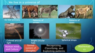 Nature's Number by Ian Stewart | PPTX