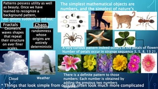 Nature's Number by Ian Stewart | PPTX