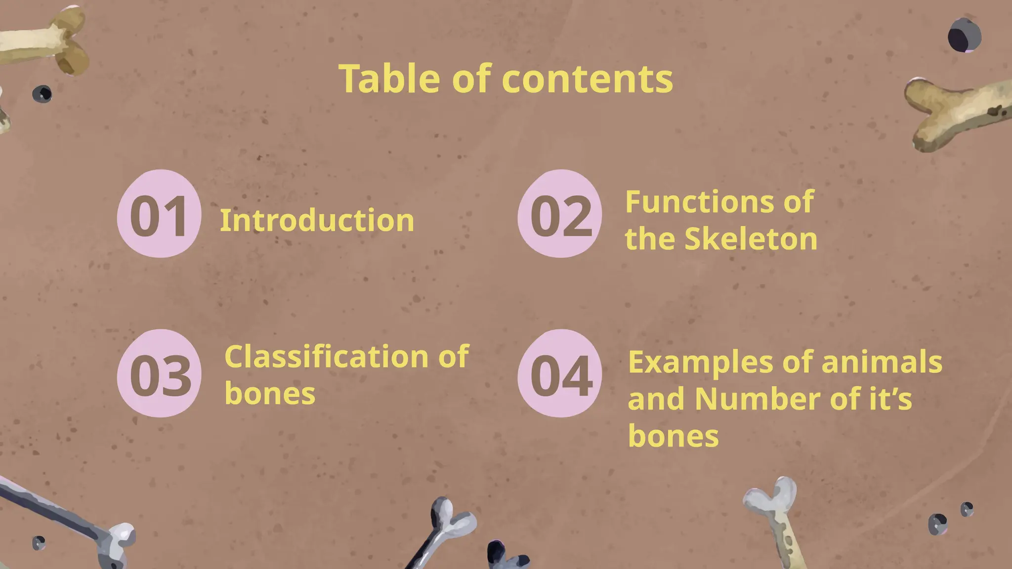 111111Math project-Animal Skeletons.pptx