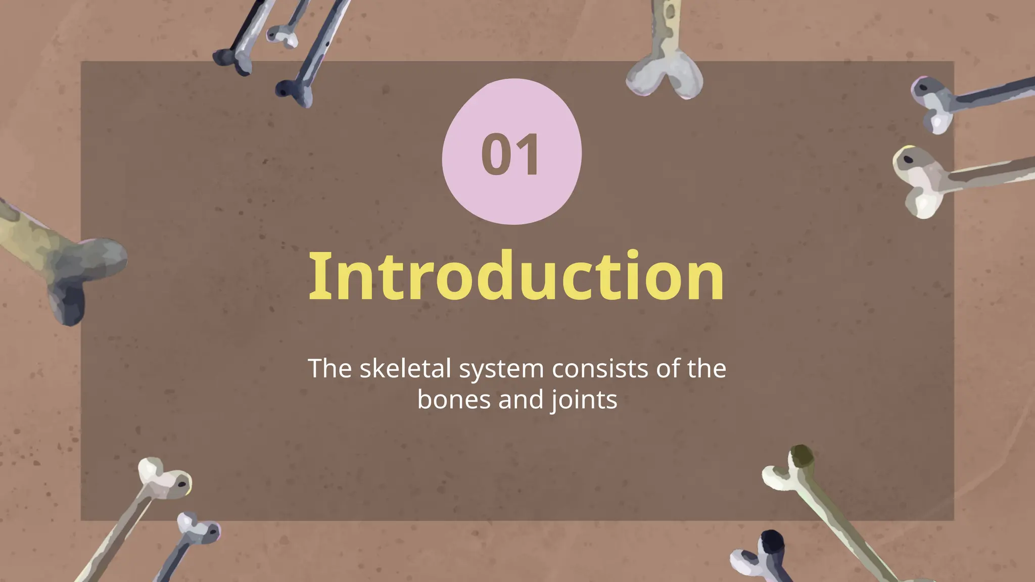 111111Math project-Animal Skeletons.pptx