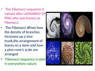 MATHS.pptx pascal triange and golden rat | PPT