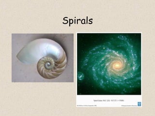 Mathematics-Fibonacci-sequence-and-Patterns.ppt