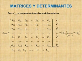 [Maths] 2.5.1 matrices y determinantes mpf | PPT