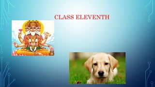 Maths connection | PPT