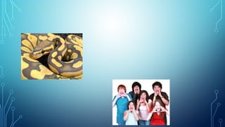 Maths connection | PPT