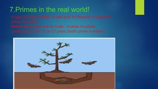 Maths fact | PPT | Free Download