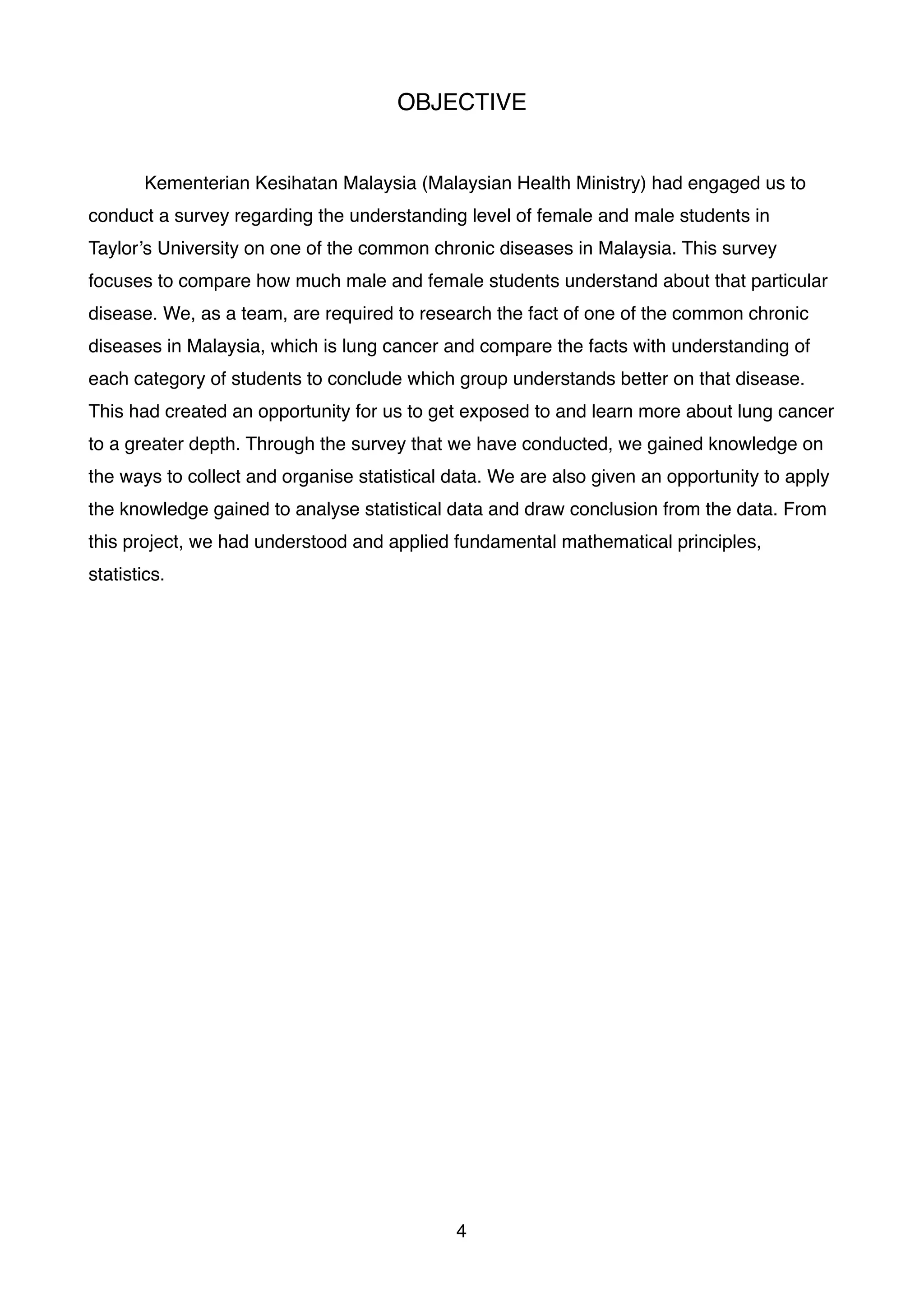 Maths final report | PDF