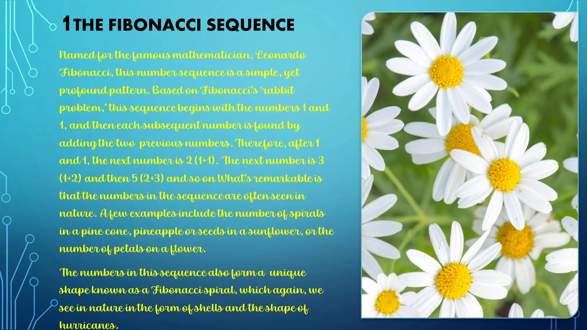 Mathematical patterns in nature | PDF