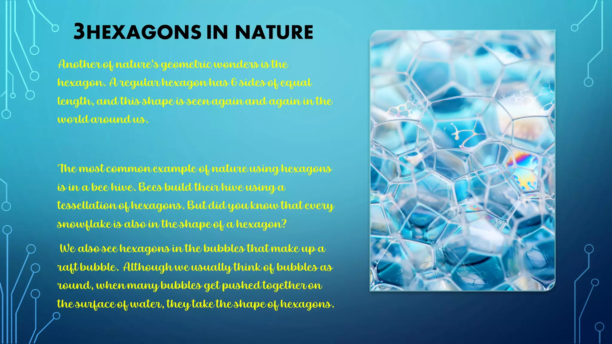 Mathematical patterns in nature | PDF