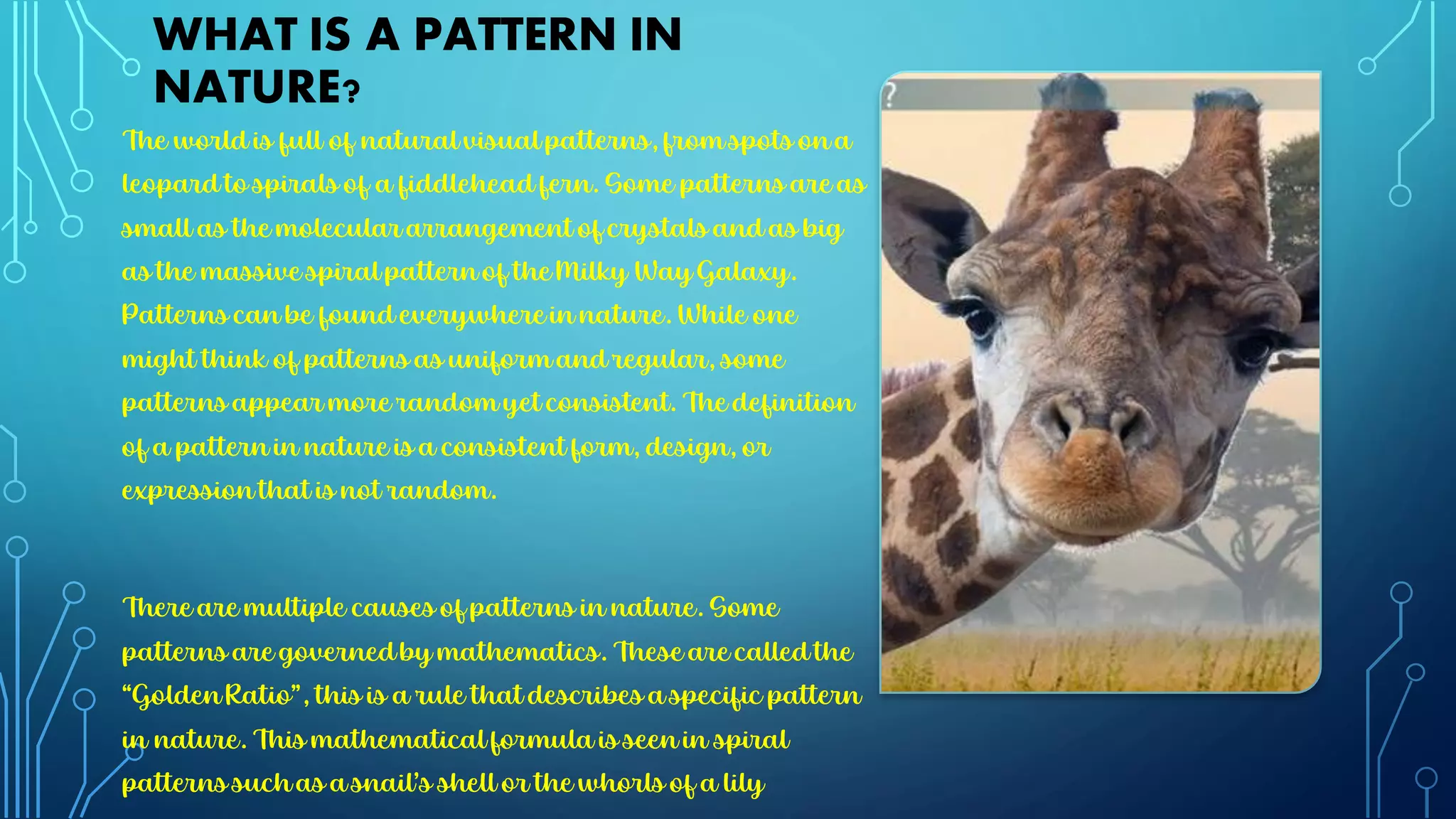 Mathematical patterns in nature | PDF