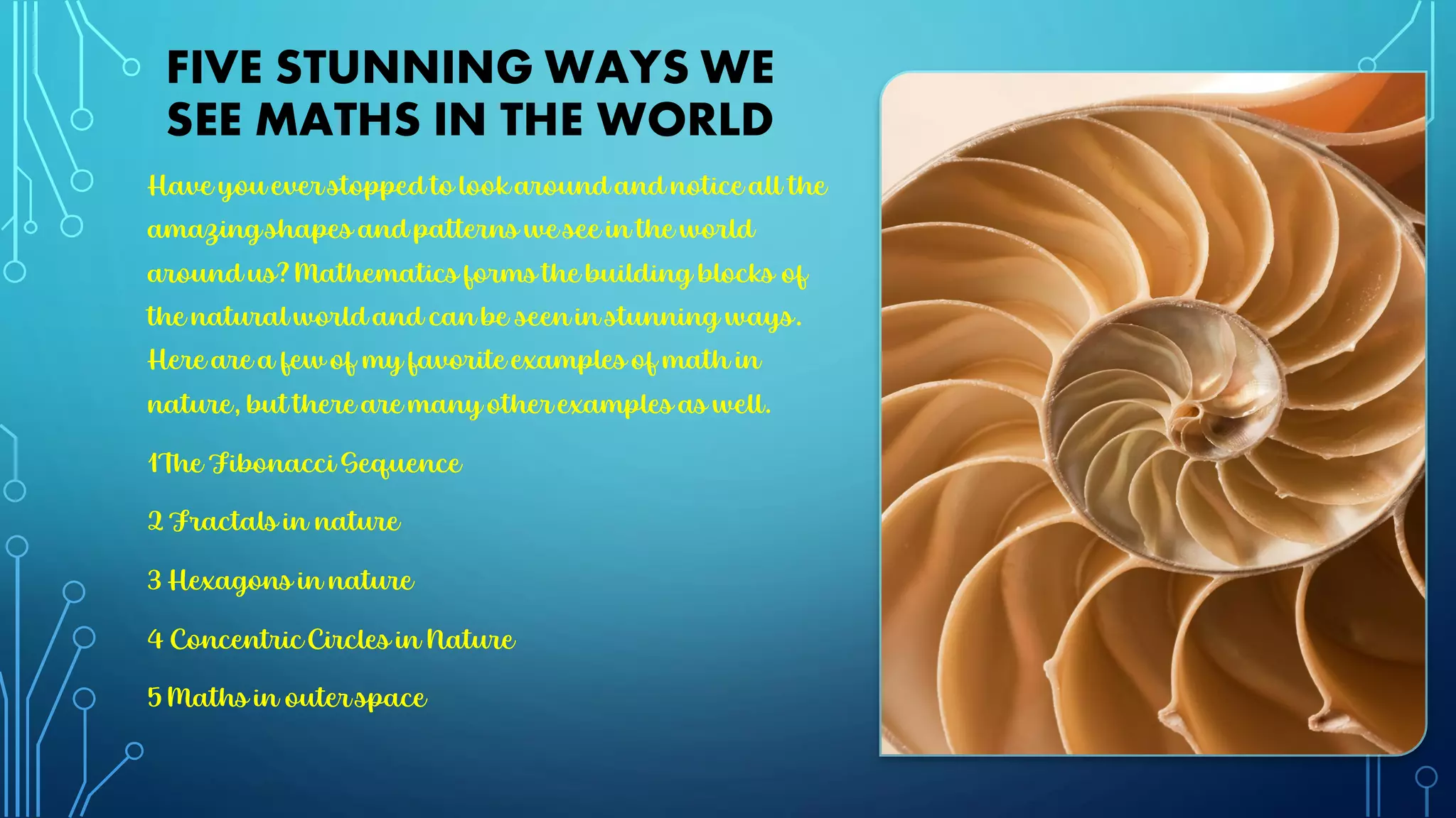 Mathematical patterns in nature | PDF