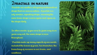 Mathematical patterns in nature | PDF