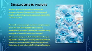 Mathematical patterns in nature | PDF