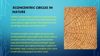 Mathematical patterns in nature | PDF