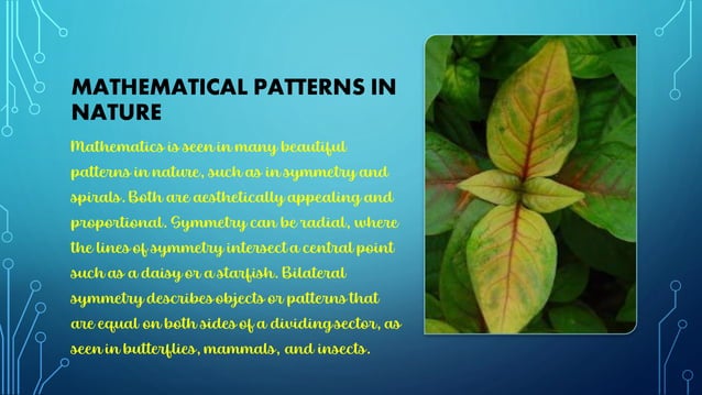 Mathematical patterns in nature | PDF | Geography | Science