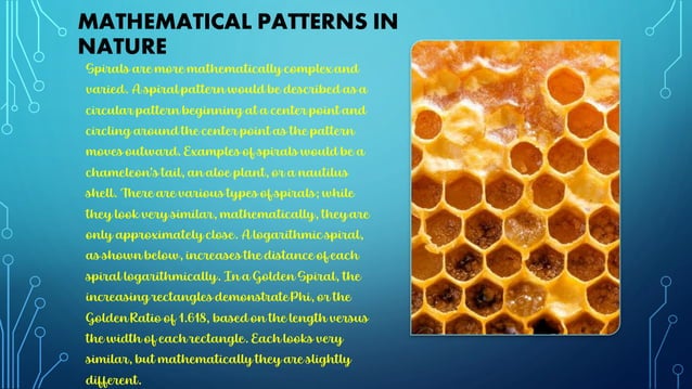 Mathematical patterns in nature | PDF | Geography | Science