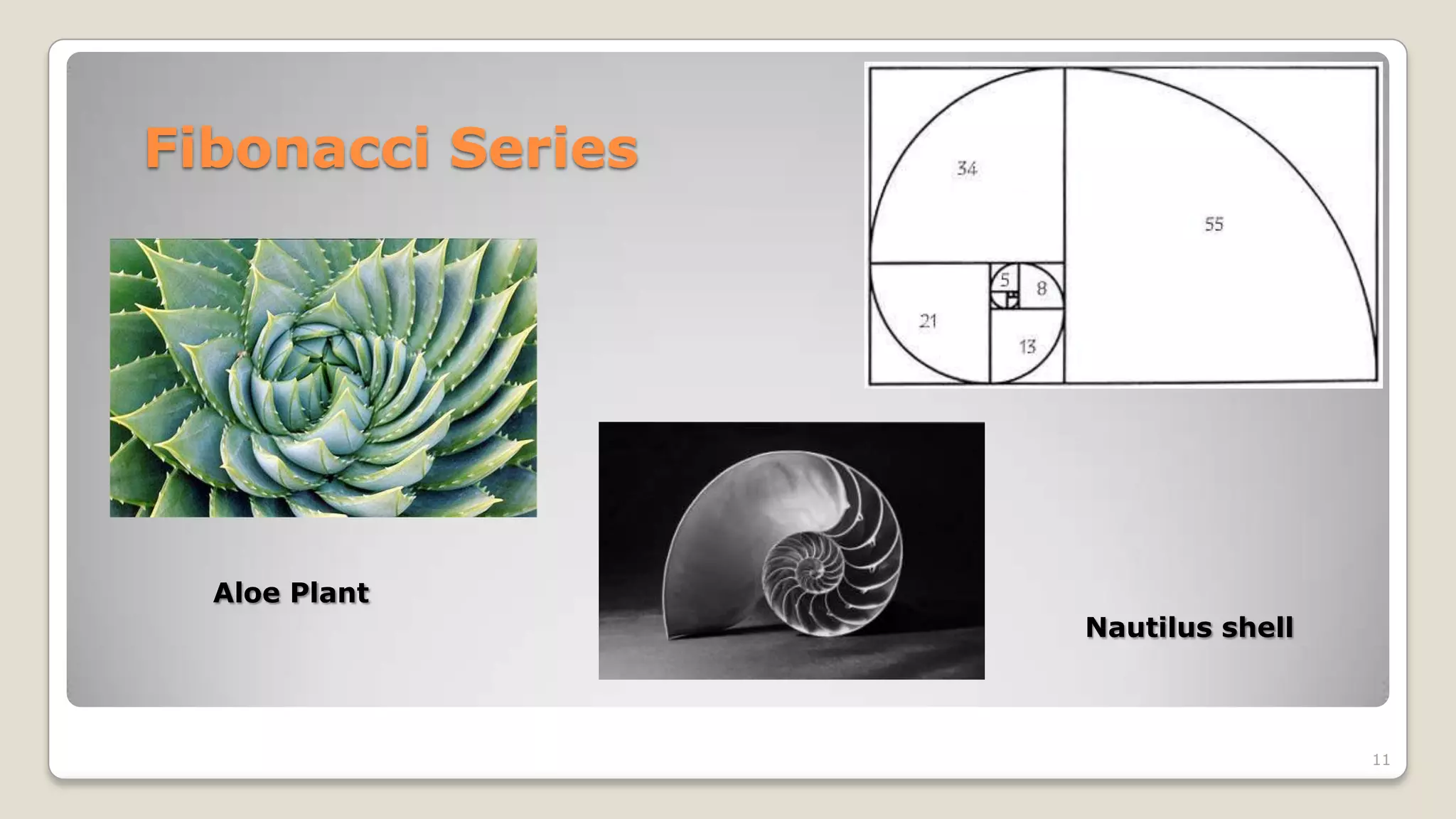 Maths in nature | PPTX