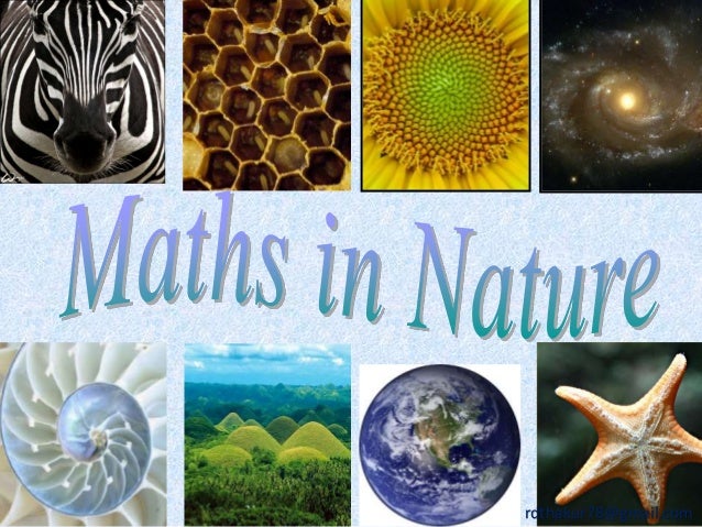 Maths In Nature maths-in-nature