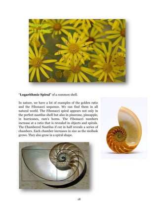 Maths in Nature and Biology | PDF