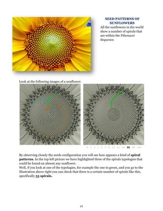 Maths in Nature and Biology | PDF