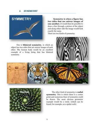 Maths in Nature and Biology | PDF