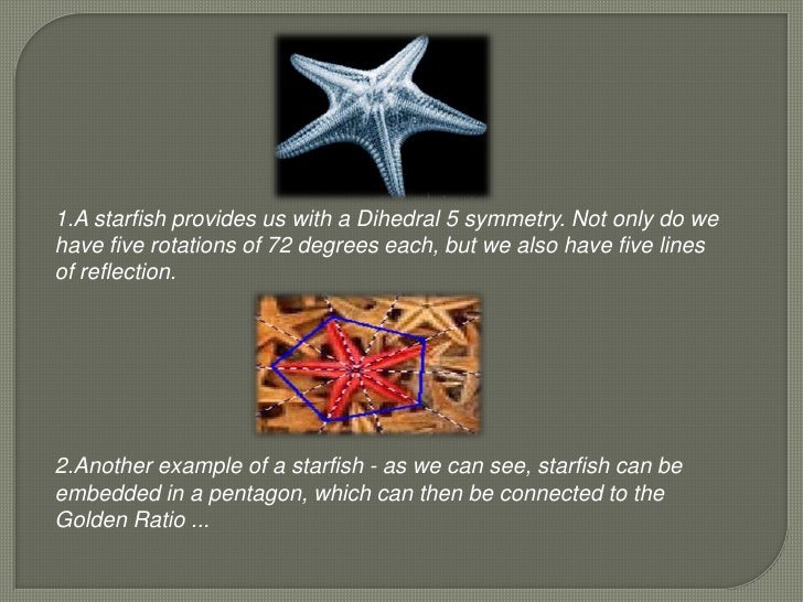 Maths in nature (complete)