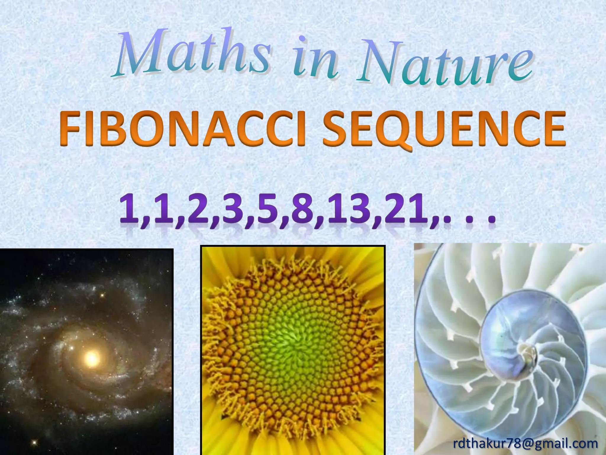 Maths in nature fibonacci | PPTX