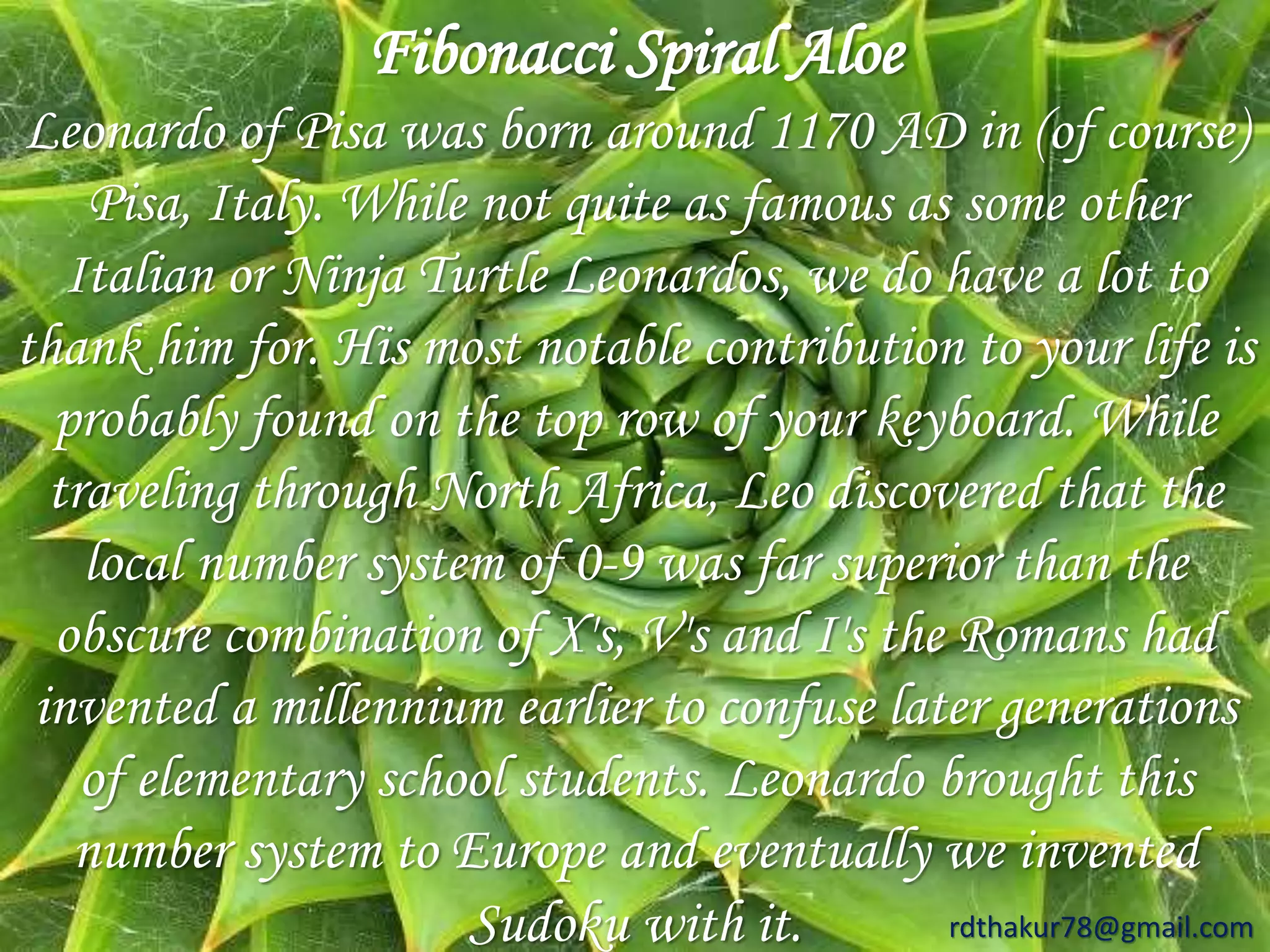 Maths in nature fibonacci | PPTX