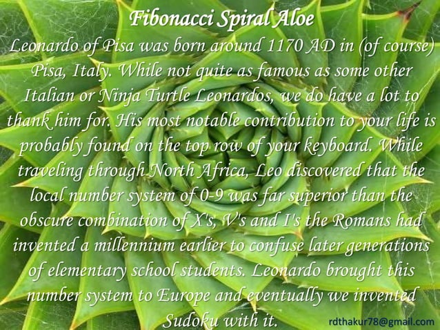 Maths in nature fibonacci | PPTX