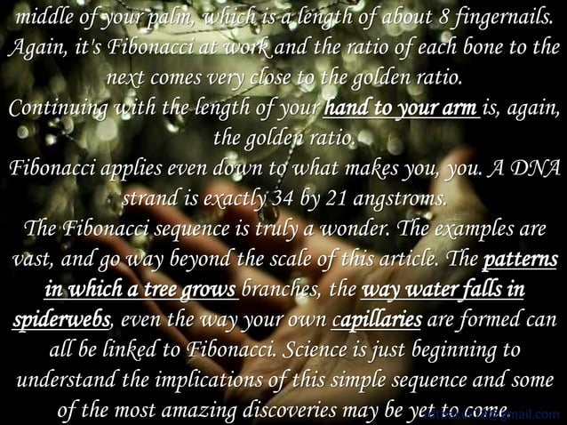 Maths in nature fibonacci | PPTX