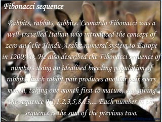 Maths in nature fibonacci | PPTX