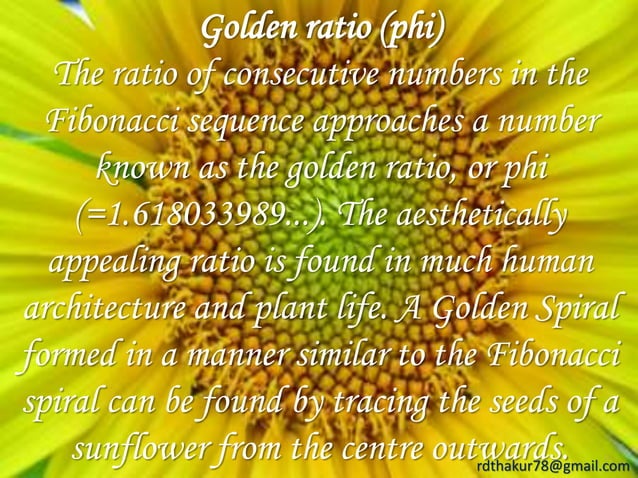 Maths in nature fibonacci | PPTX