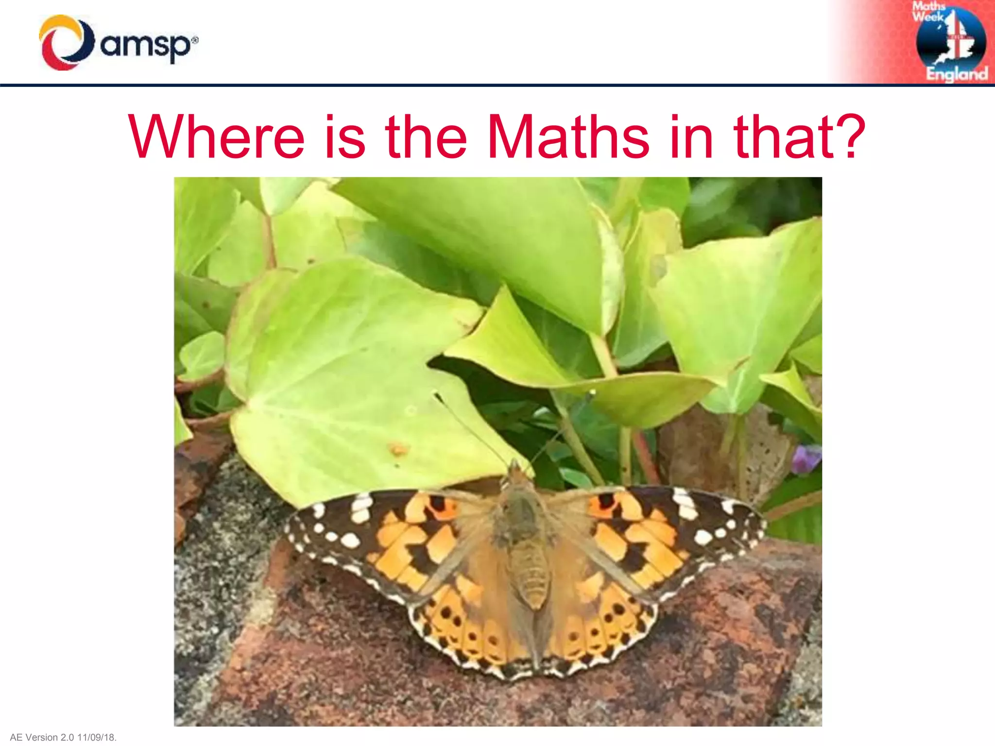 Maths in pictures | PPTX