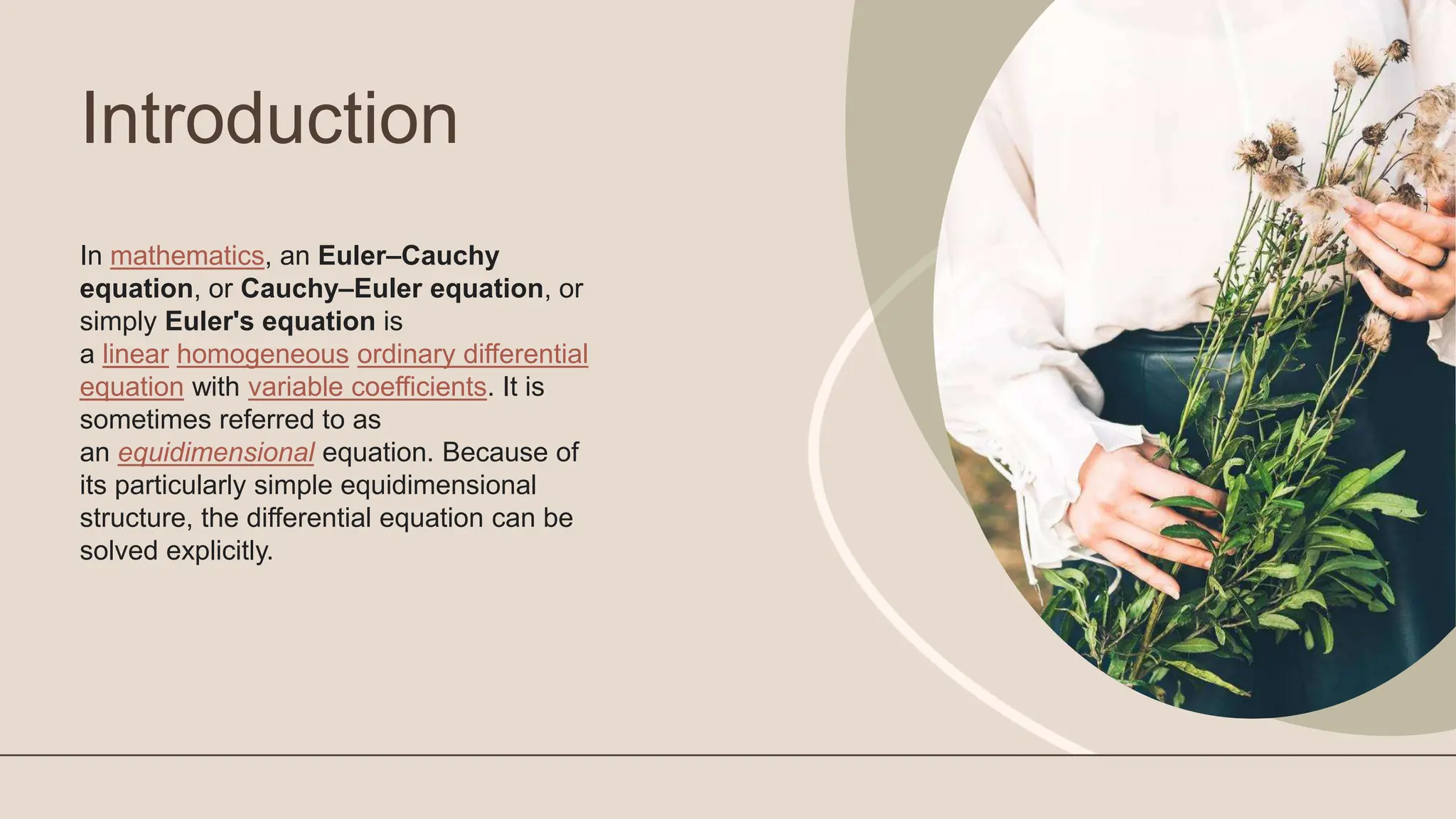 Maths LADE Presentation using cauchy euler .pptx