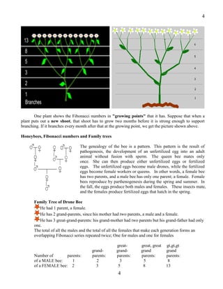 Maths of nature and nature of maths 130513 vor | PDF