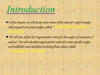 Introduction To Trigonometry | PPTX