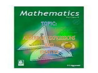 Maths ppt on algebraic expressions and identities | PPT