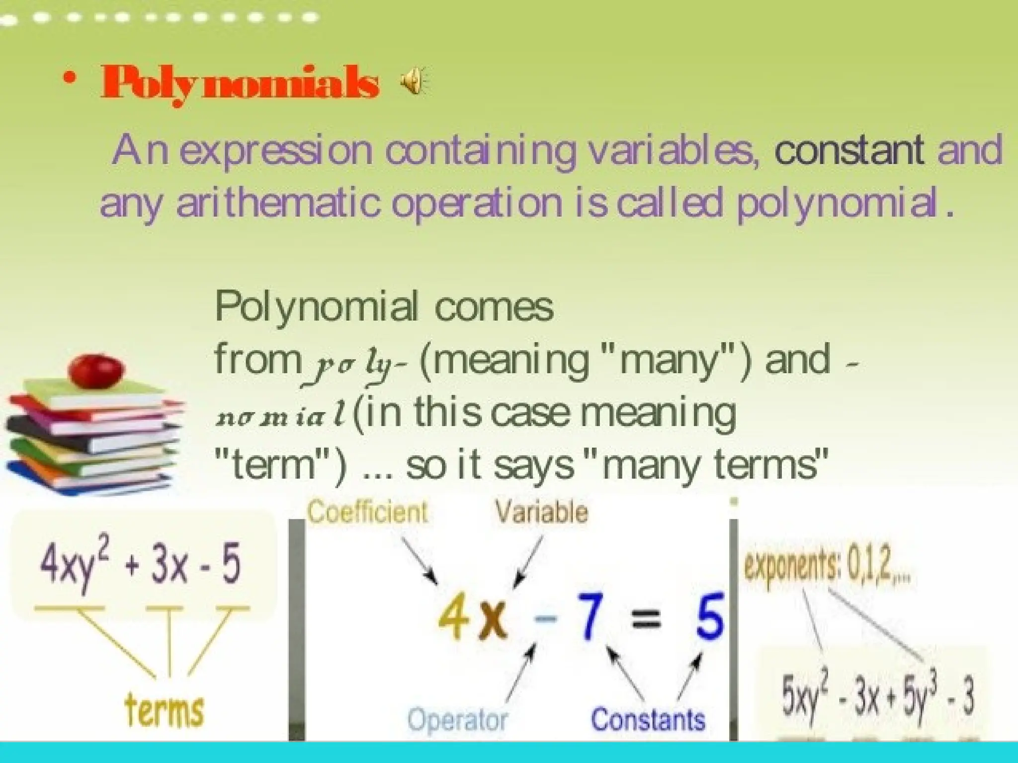 maths ppt on polynomial for school asignment | PPTX