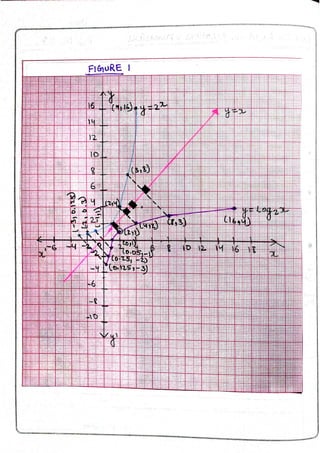 Maths practical file (class 12) | PDF