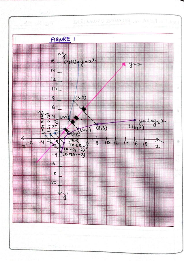 Maths practical file (class 12) | PDF