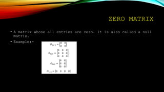 Math's project.pptx | Physics | Science