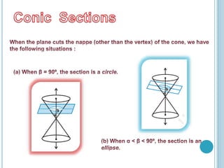 Maths Project On Conic Sections.pptx