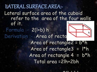 Surface Area And Volume | PPTX