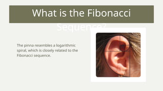 Math 10 Presentation (Fibonacci Sequence and Frieze Patterns).pptx