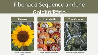 Math 10 Presentation (Fibonacci Sequence and Frieze Patterns).pptx